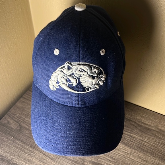 NCAA | Accessories | Ncaa Zephyr Mens Psu Lions Raised Embroidered Logo ...